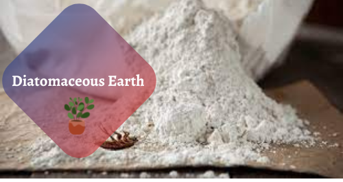 Tiny silver bugs in houseplant soil: Detect by image+ Get rid of them ...