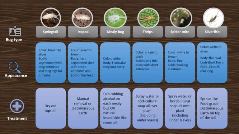 Tiny silver bugs in houseplant soil: Detect by image+ Get rid of them ...