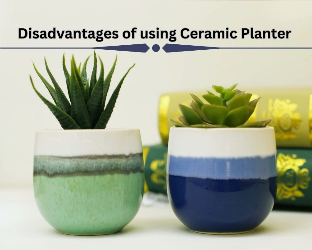 How to plant in ceramic pots without drainage holes? - InHousePlant ...