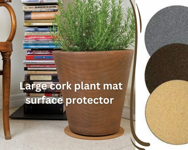 What to Put under Potted Plants? 8 Ideas with images. - InHousePlant ...