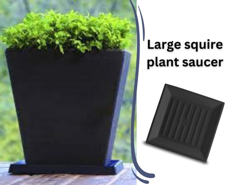 What to Put under Potted Plants? 8 Ideas with images. - InHousePlant ...