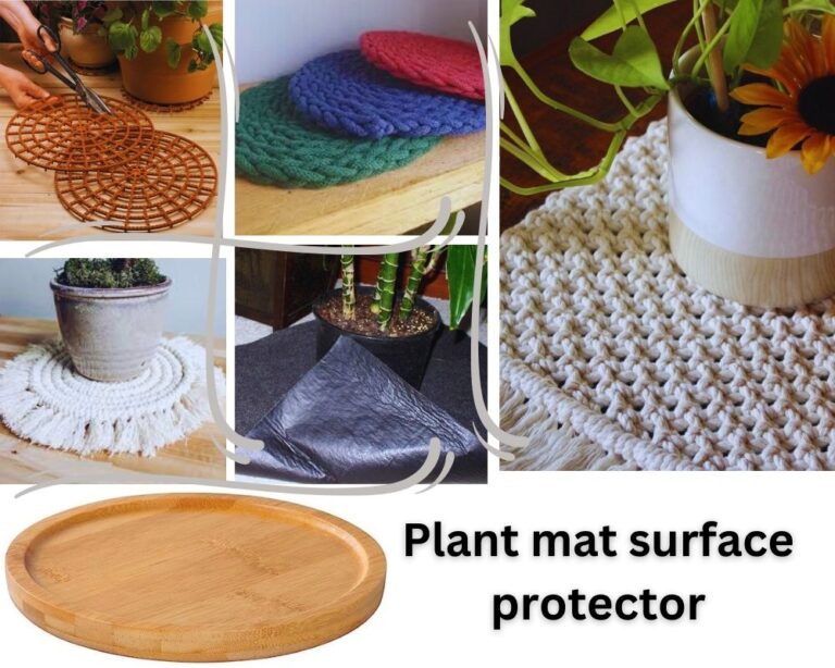 What to Put under Potted Plants? 8 Ideas with images. - InHousePlant ...