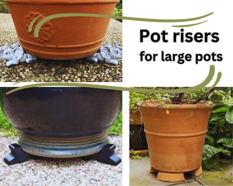 What to Put under Potted Plants? 8 Ideas with images. - InHousePlant ...