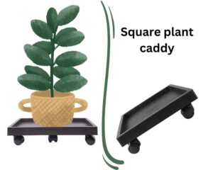 What to Put under Potted Plants? 8 Ideas with images. - InHousePlant ...