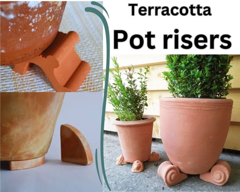 What to Put under Potted Plants? 8 Ideas with images. - InHousePlant ...
