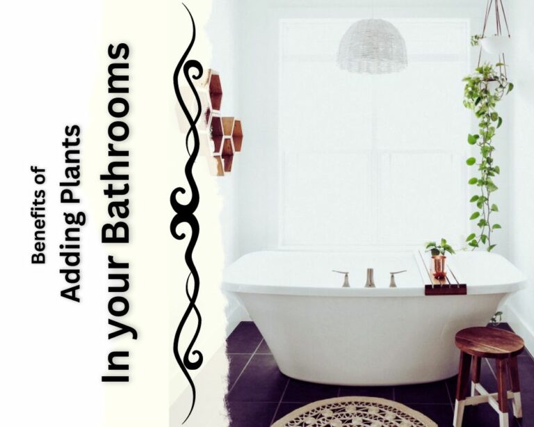 Top 10 Low-Light Hanging Plants for the Bathrooms - InHousePlant - Your ...
