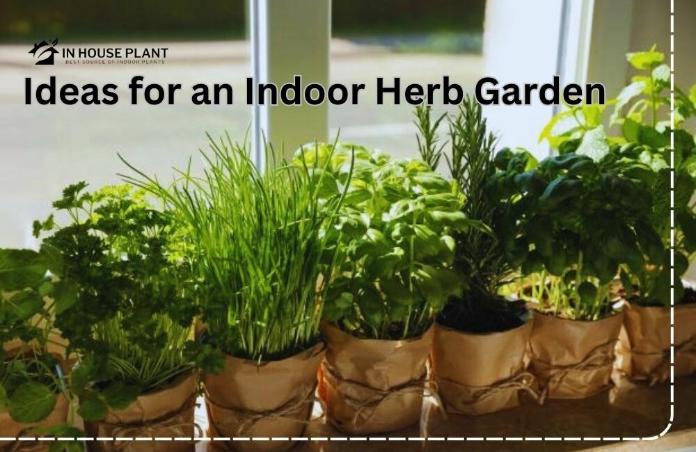 5 Tested Ideas for an Indoor Herb Garden: Best and Reviewed ...