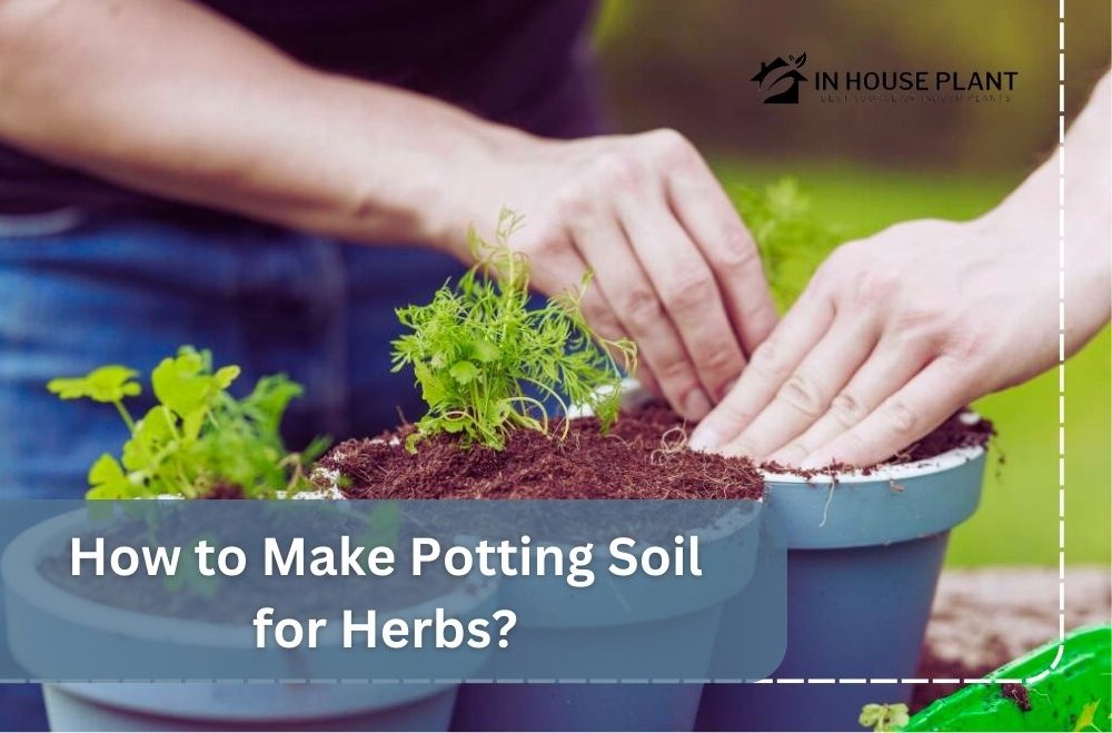 How to Make Potting Soil for Herbs? Tried Method + Pro Tips ...